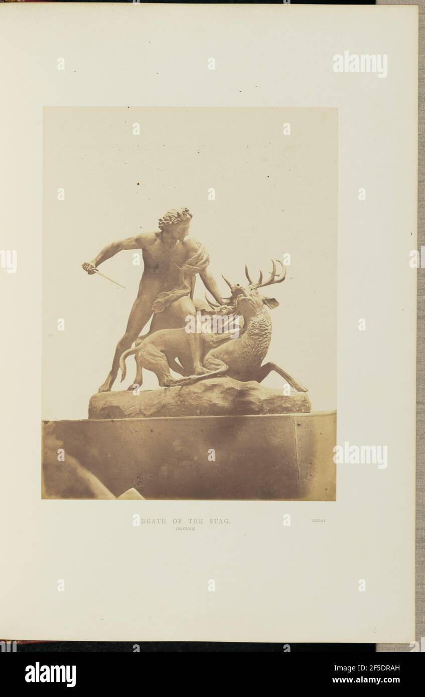 Death of a Stag Stock Photo - Alamy