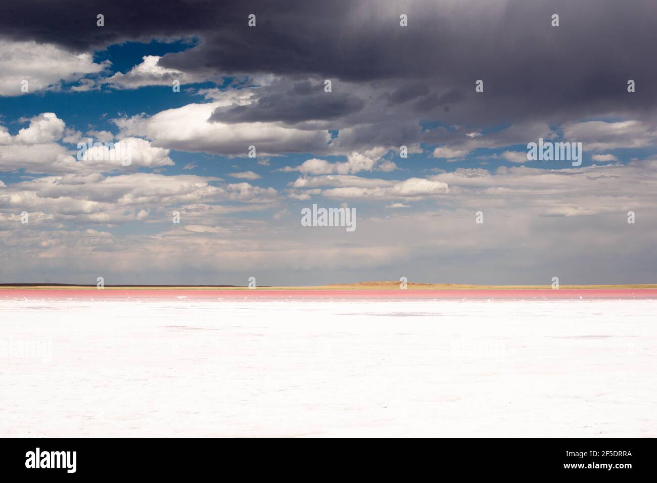 Pink shore hi-res stock photography and images - Alamy