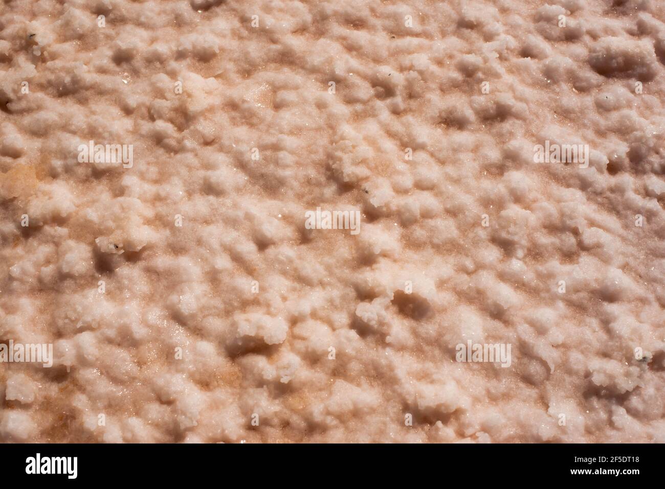texture of natural salt close-up pink color Stock Photo - Alamy