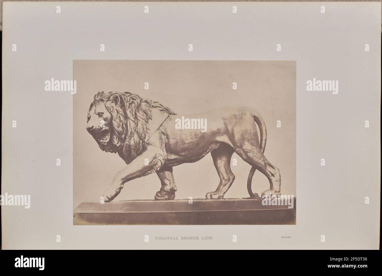 Colossal bronze lion hi-res stock photography and images - Alamy