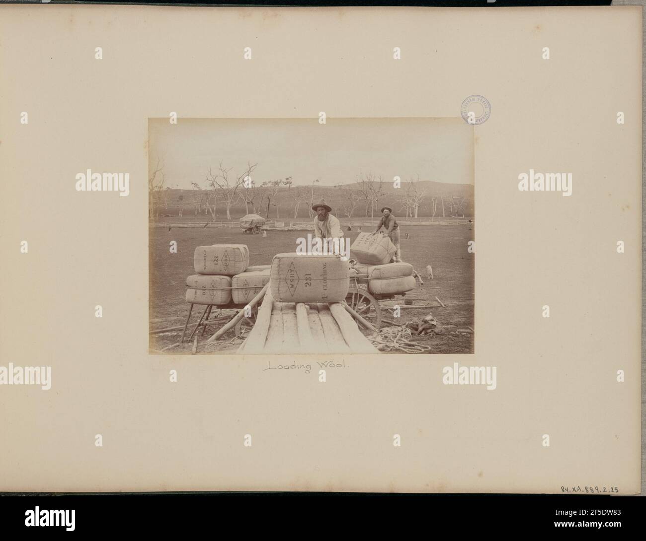 Loading wool at hi-res stock photography and images - Alamy