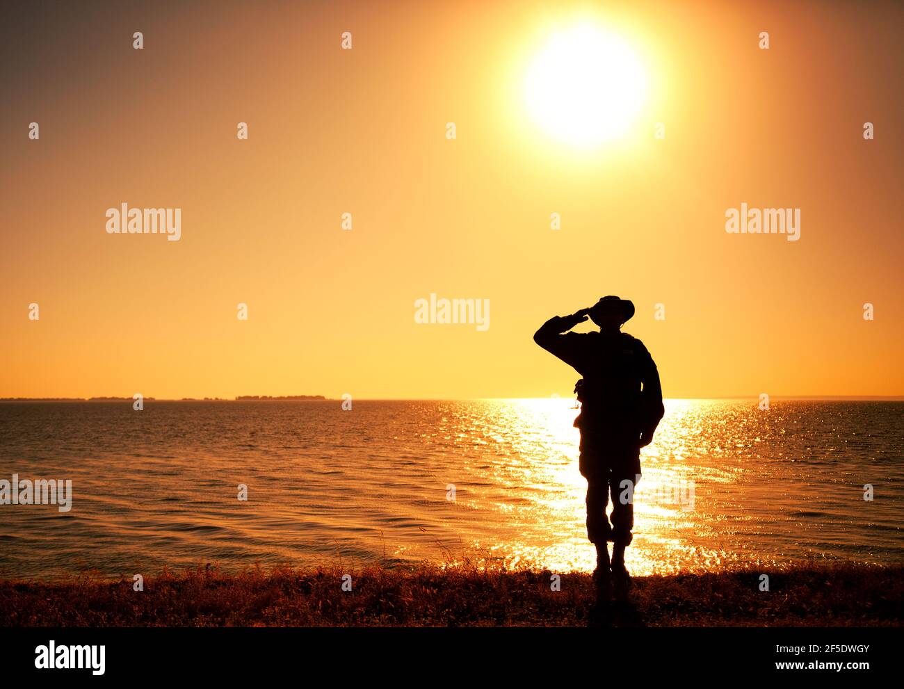 Silhouette of saluting commando soldier, army infantryman standing on ...