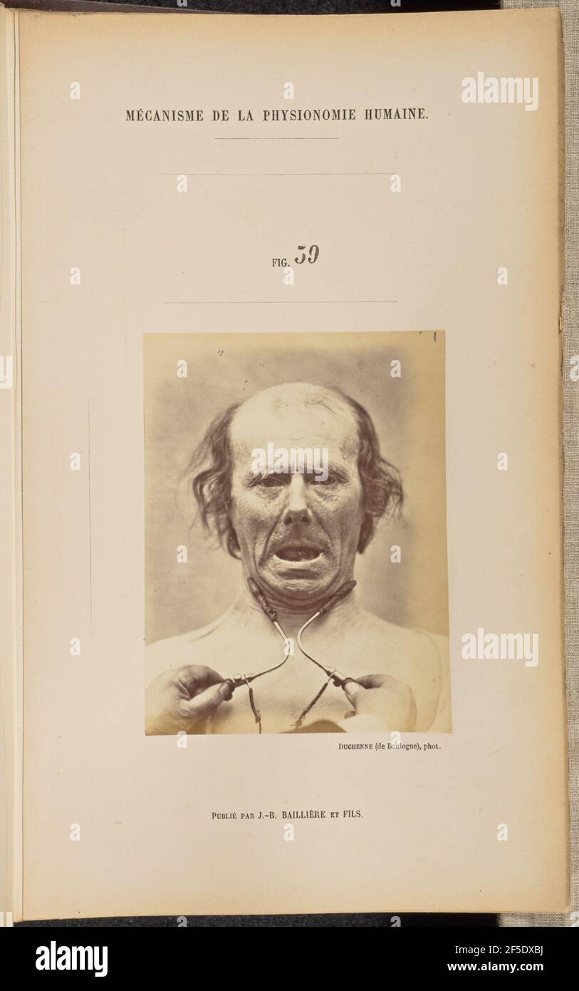 Fig 59 hi-res stock photography and images - Alamy