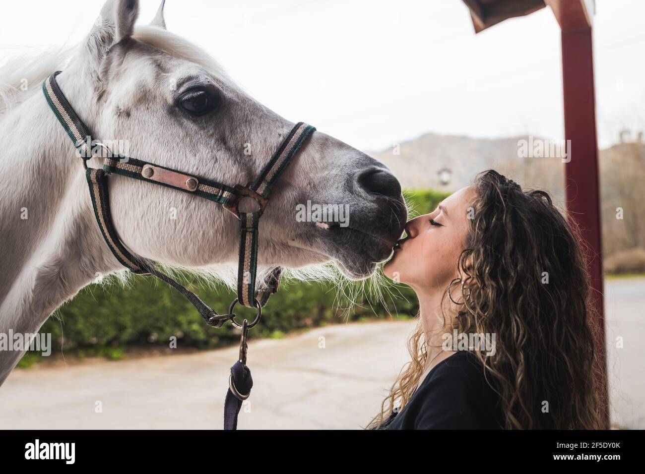 Young caucasian woman kissing a horse Stock Photo - Alamy
