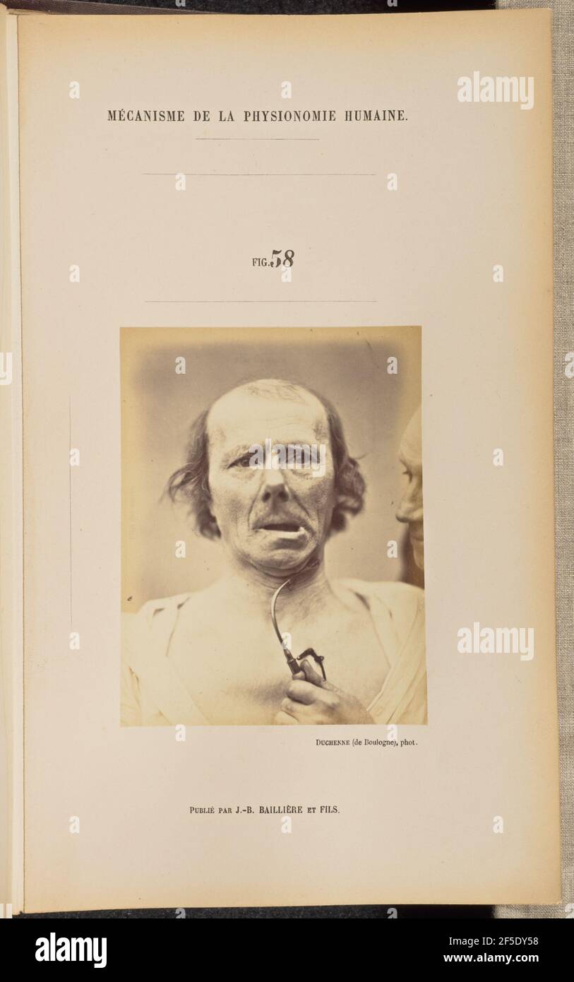 Fig 58 hi-res stock photography and images - Alamy