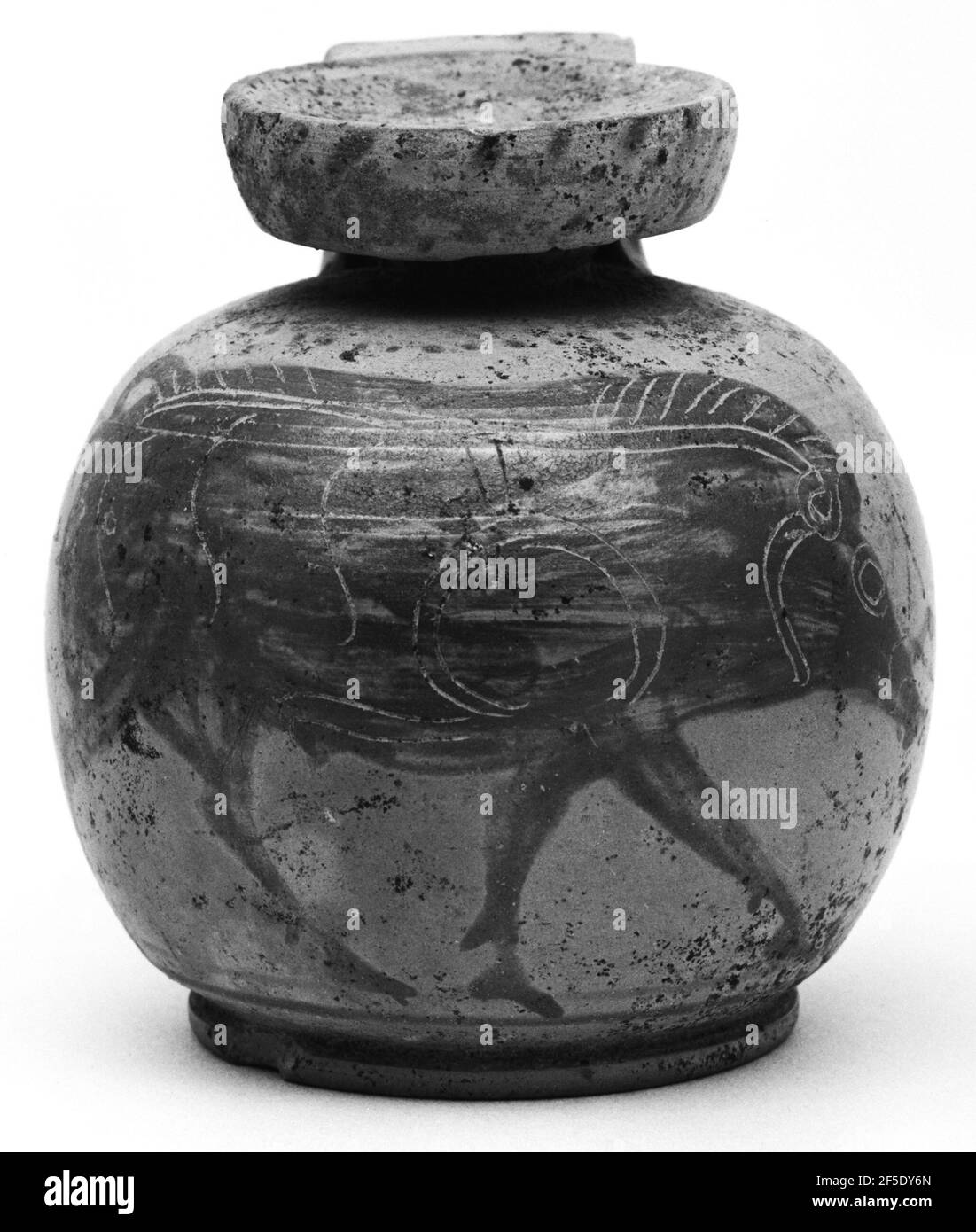 Globular Cut Out Stock Images & Pictures - Alamy