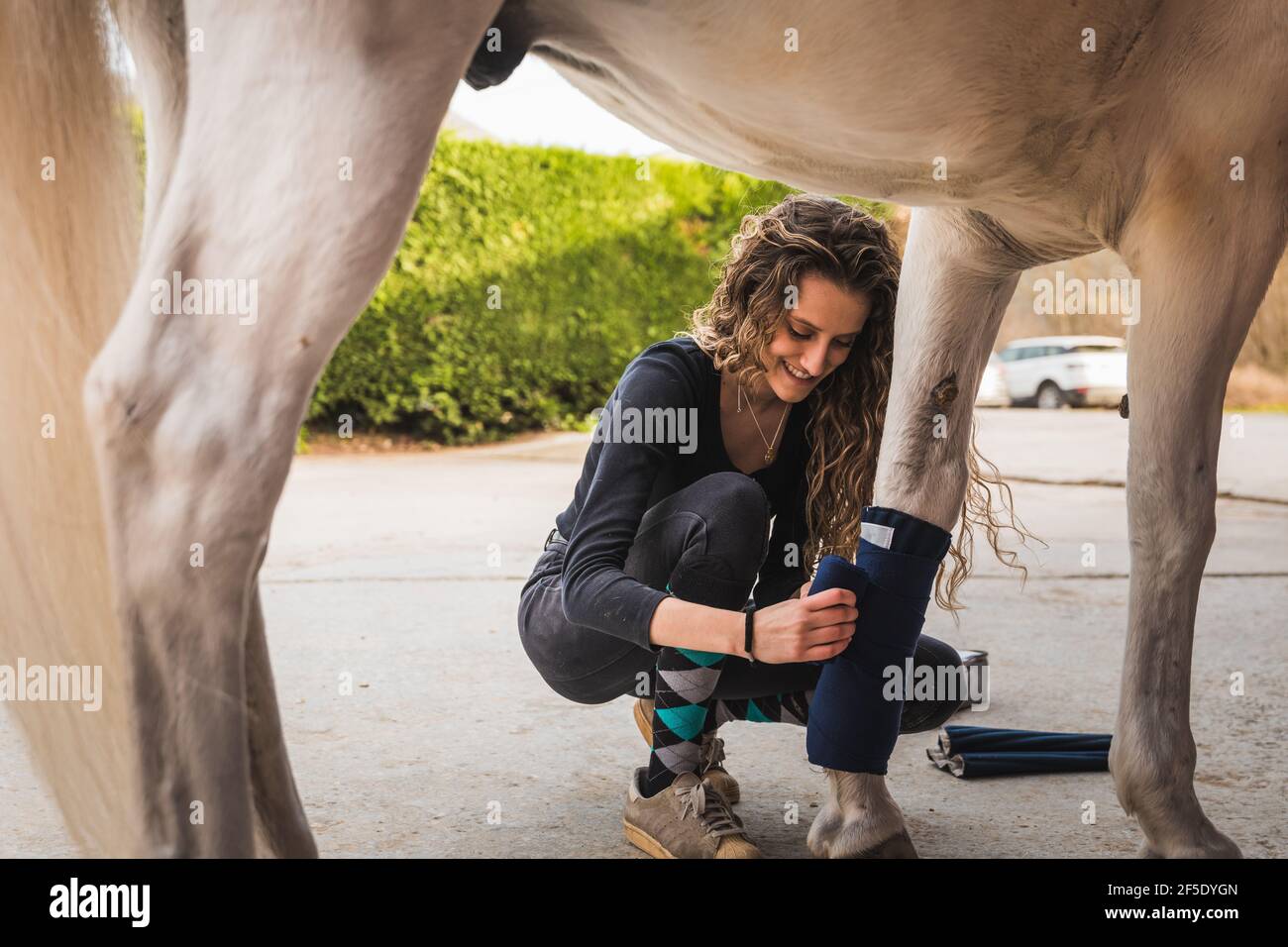 Woman Cleaning Horse Sheath at Susan Guthrie blog