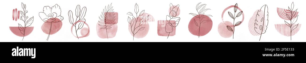 Set of abstract floral pastel line art elements Stock Photo - Alamy