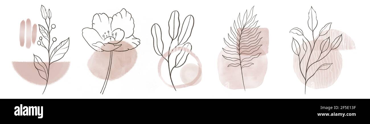 Set of abstract floral pastel line art elements Stock Photo - Alamy