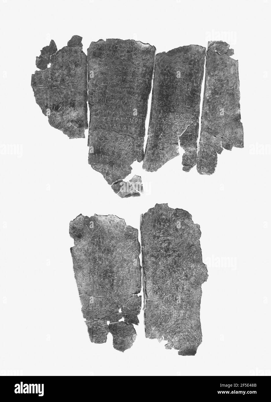 Preserved fragments Black and White Stock Photos & Images - Alamy