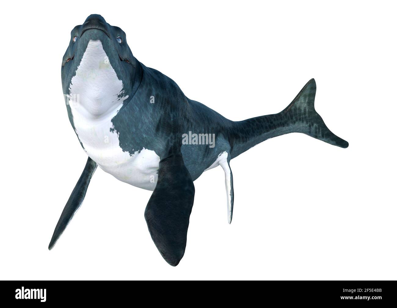 3D rendering of a large marine extinct reptile Mosasaur isolated on ...