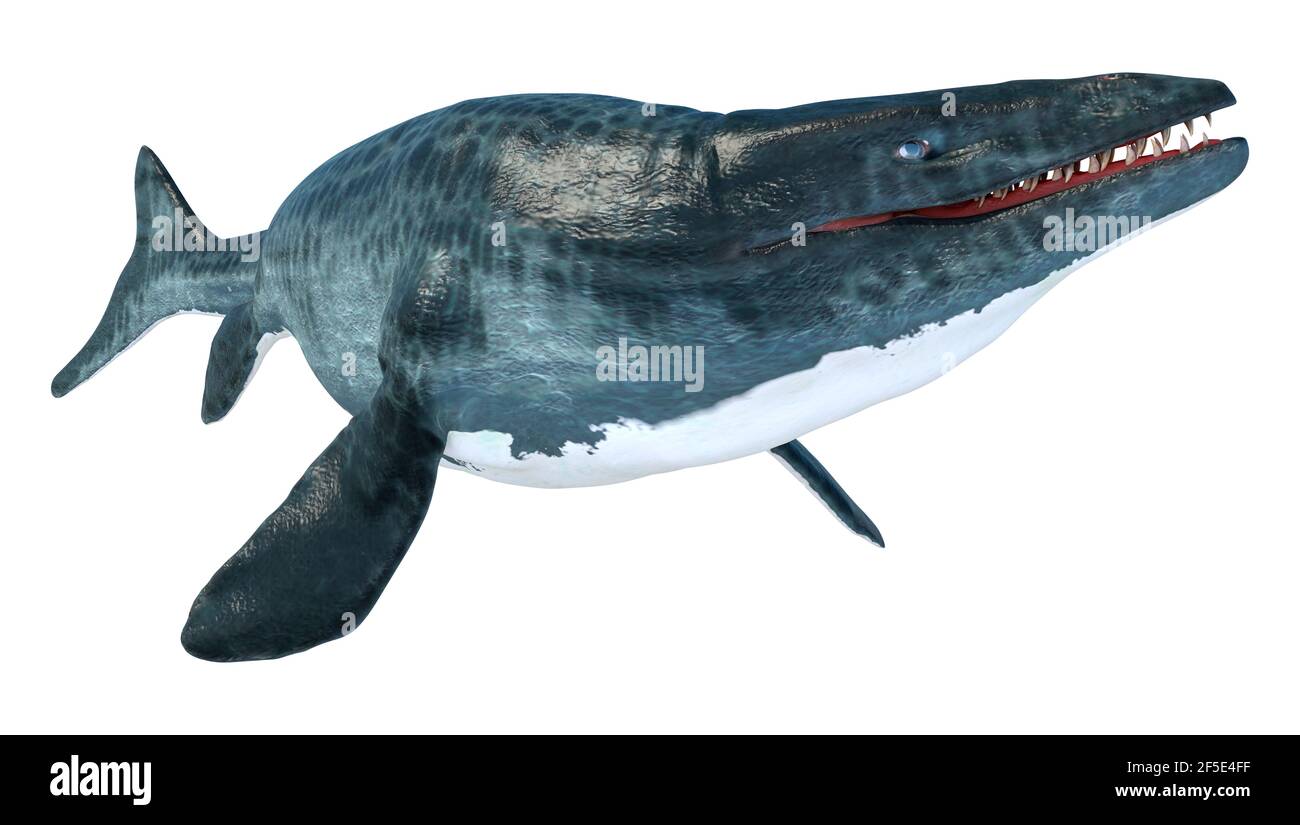 3D rendering of a large marine extinct reptile Mosasaur isolated on ...