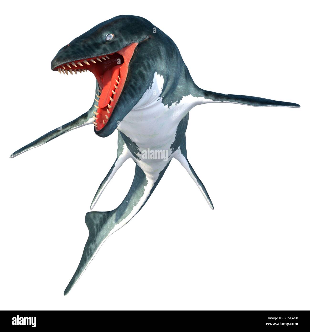 Mosasaurus Cut Out Stock Images & Pictures - Alamy