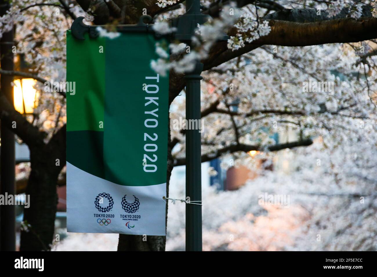 This Flag to the Tokyo Olympics (Tokyo 2020) in Cherry blossom viewing ...