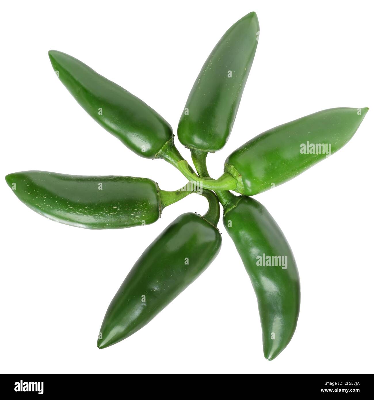 Pepper chili stack top view on a white background Stock Photo - Alamy