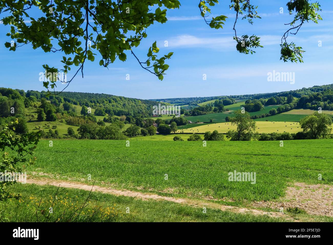 Chiltern landscape in oxfordshire hi-res stock photography and images ...