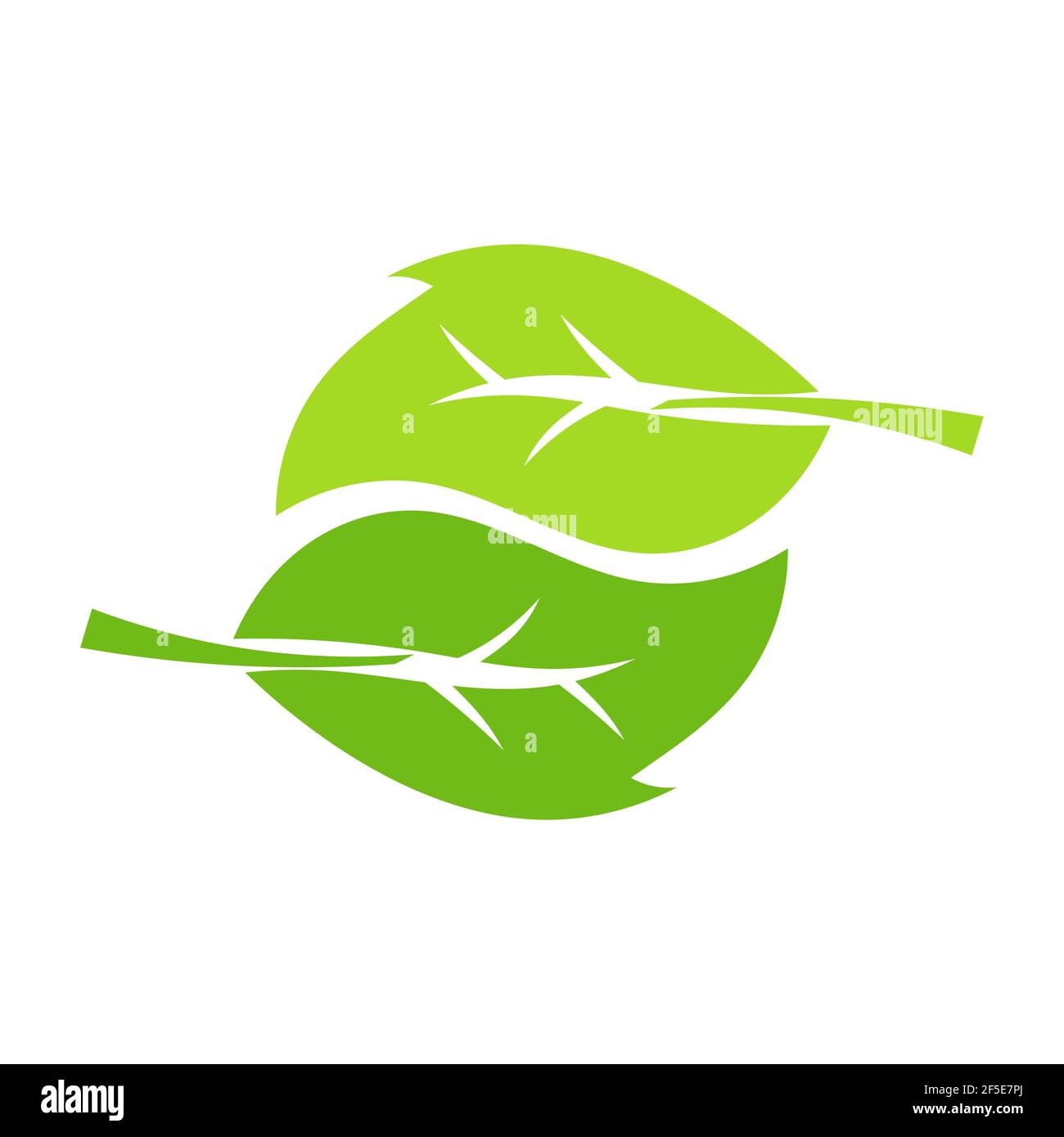 Two leaves. Vector illustration Stock Vector Image & Art - Alamy
