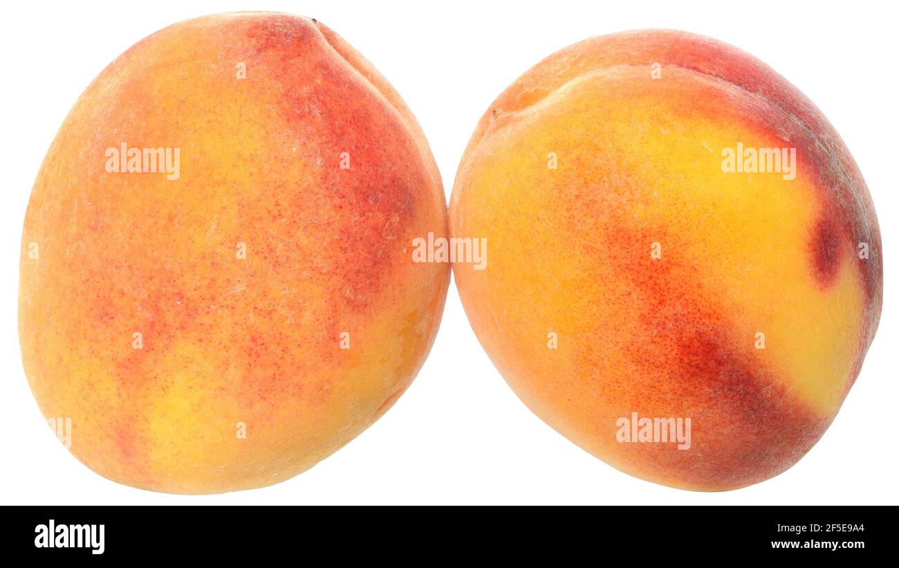 Two peach close up isolated on white background Stock Photo - Alamy