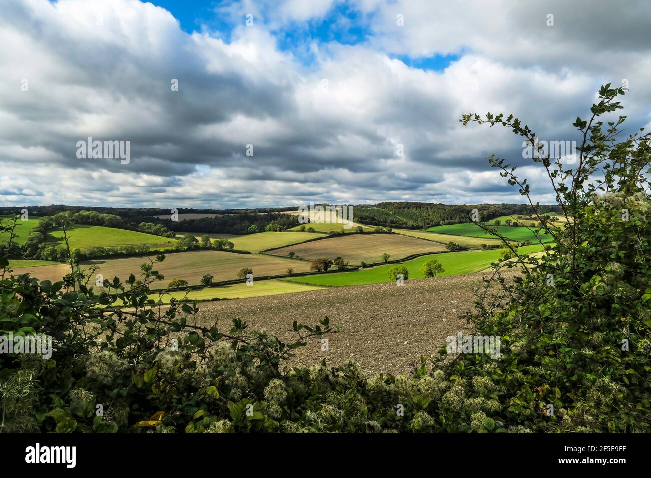Patchwork fields in the lovely Stonor Valley between Assendon & Stonor ...