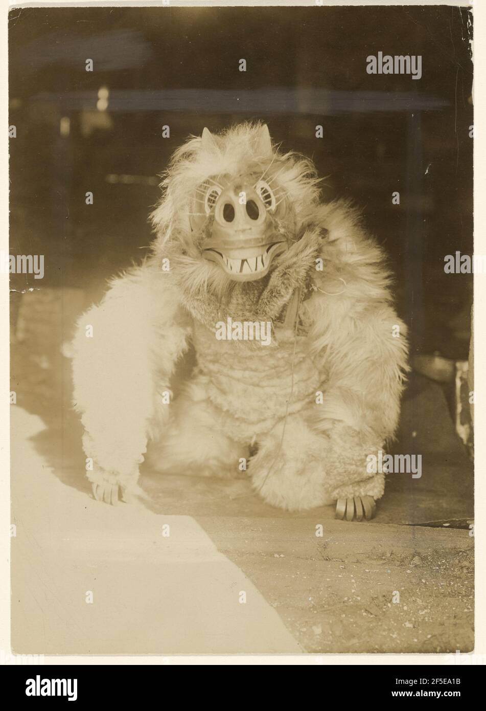 Edward wolf hi-res stock photography and images - Alamy