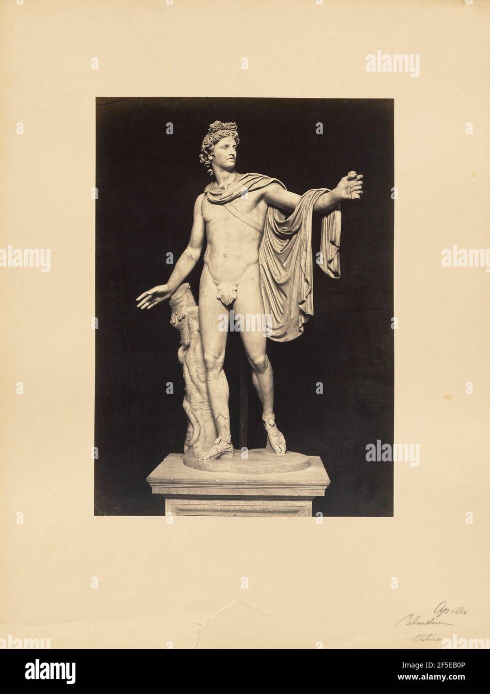 Apollo Belvedere. James Anderson (British, 1813 - 1877 Stock Photo - Alamy