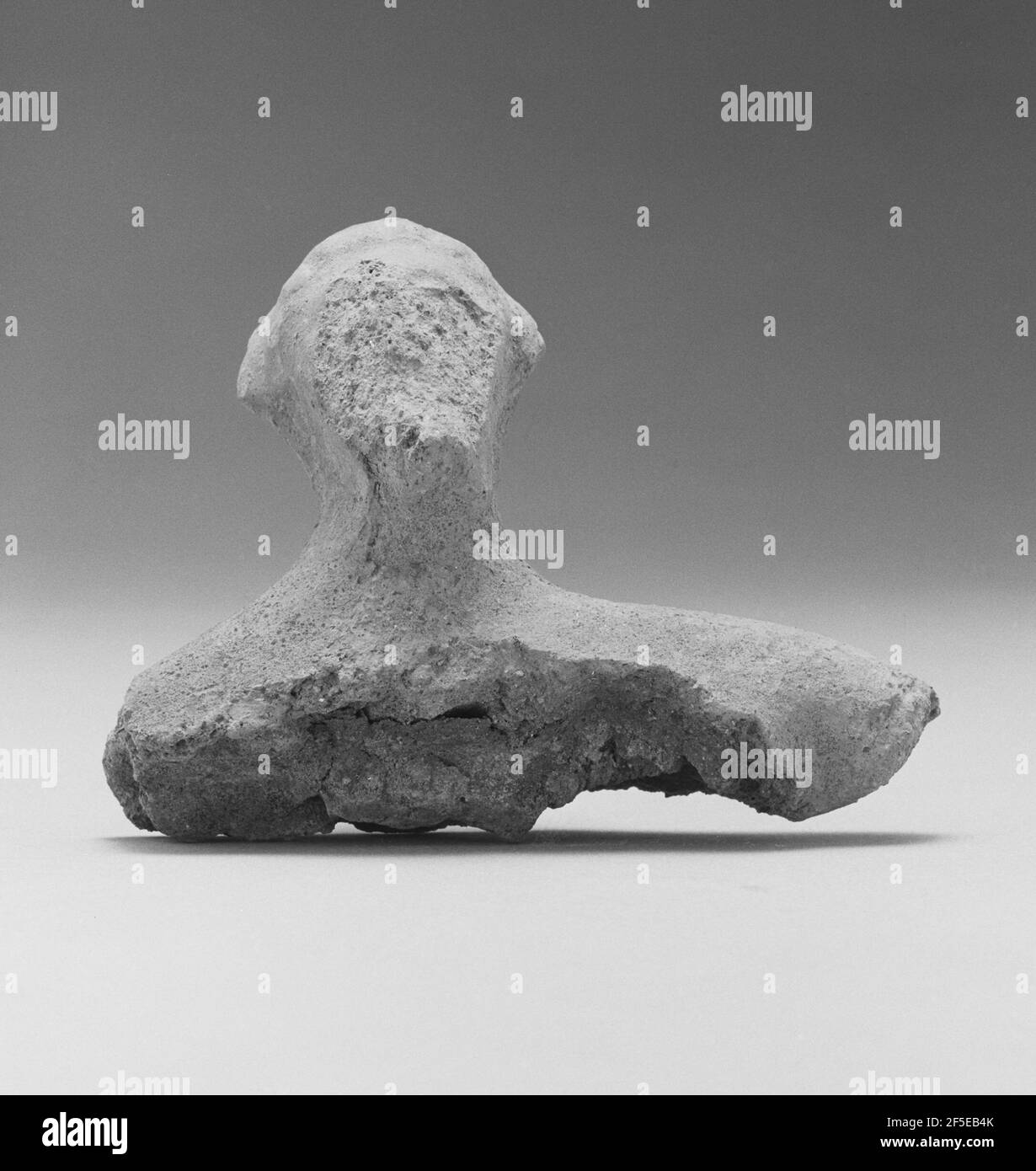 Human Head and Shoulders. Unknown Stock Photo - Alamy