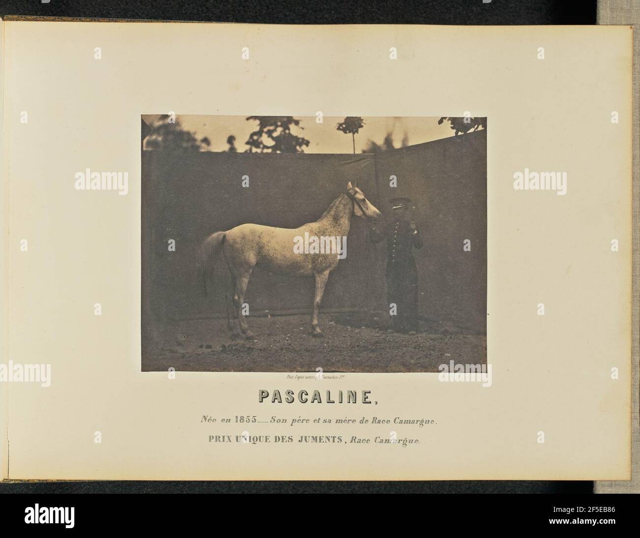 Pascaline hi-res stock photography and images - Alamy