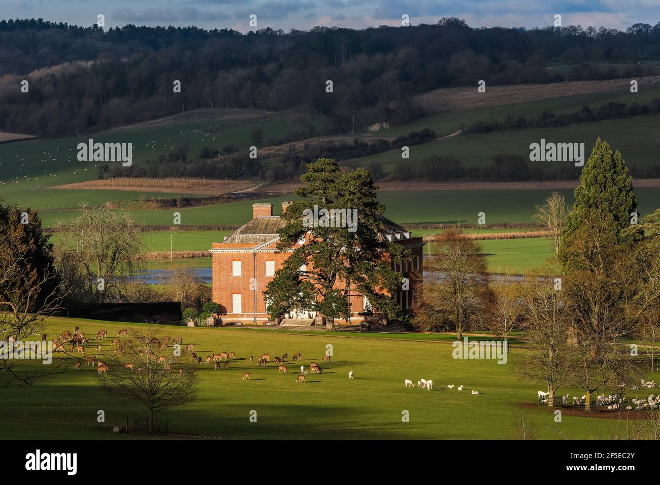 Rare white & fallow deer, the R Thames & Culham Court (1771), home of ...