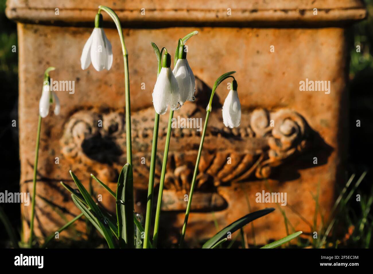 Ewelme church hi-res stock photography and images - Alamy