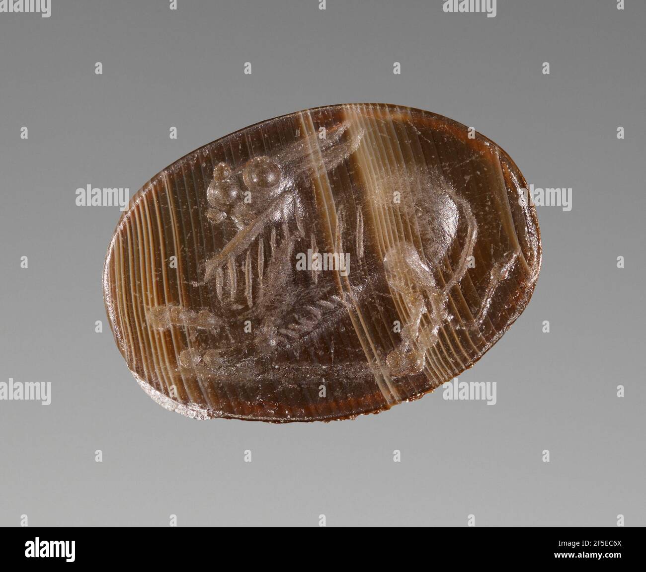 Engraved Gem with a Lynx. Unknown Stock Photo - Alamy