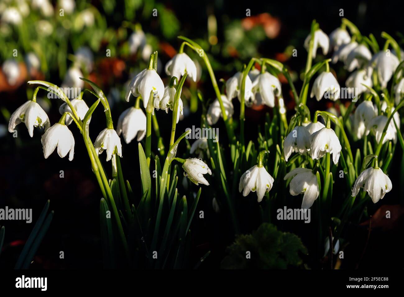 Beauty church hi-res stock photography and images - Alamy