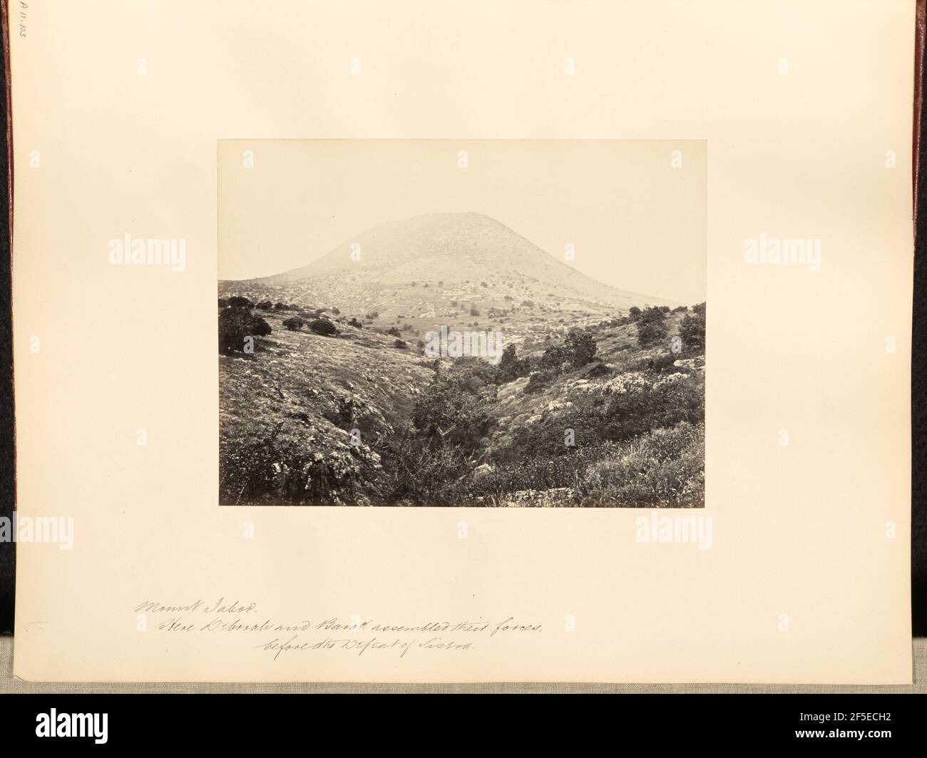 Mount Tabor. Here Deborah and Barak assembled their forces before the ...