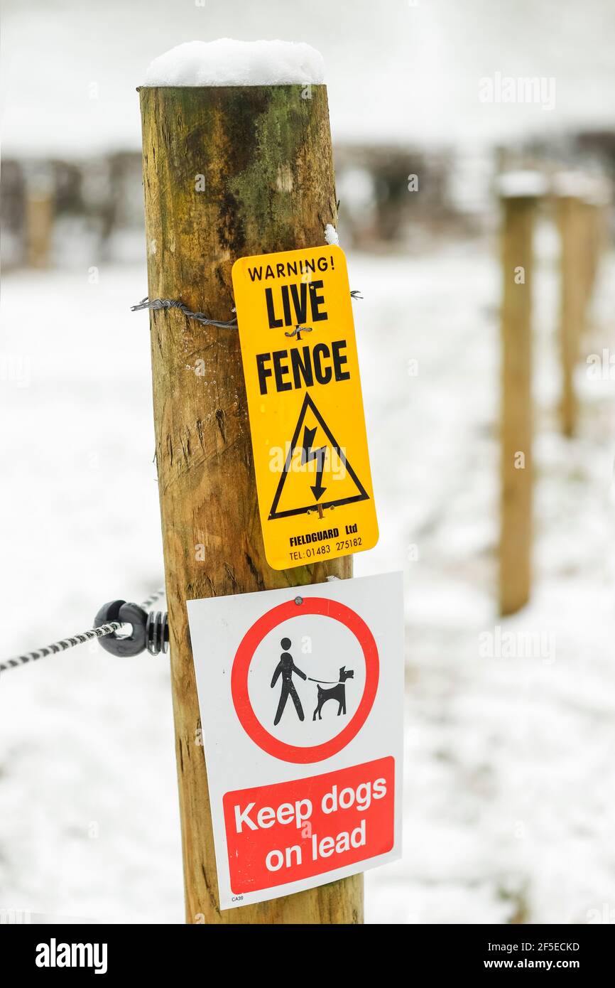 Warning signs of an electric fence & to control dogs on footpath in the ...