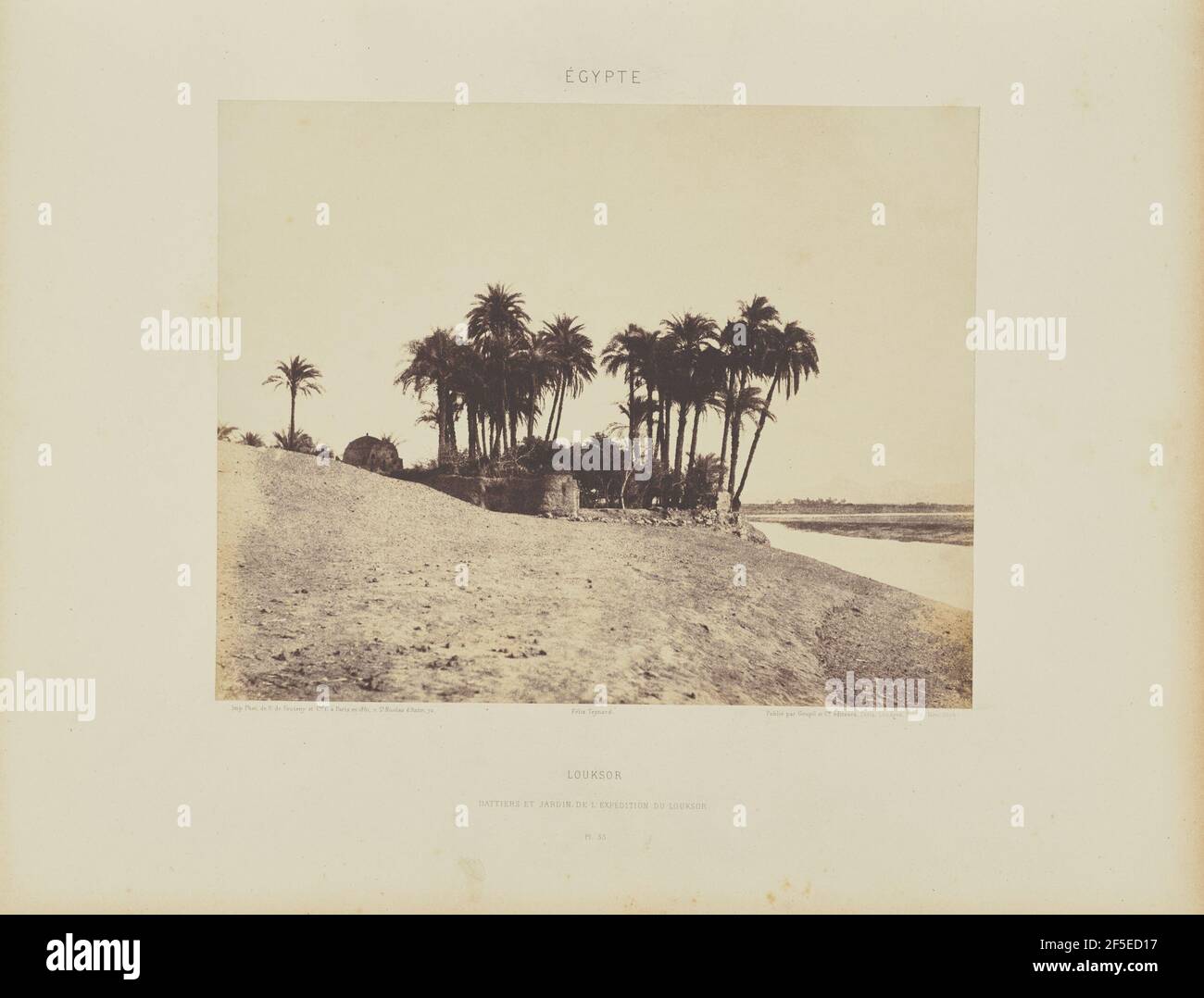Louksor. Dattiers et Jardin de l'Expédition du Louksor. Félix Teynard ...