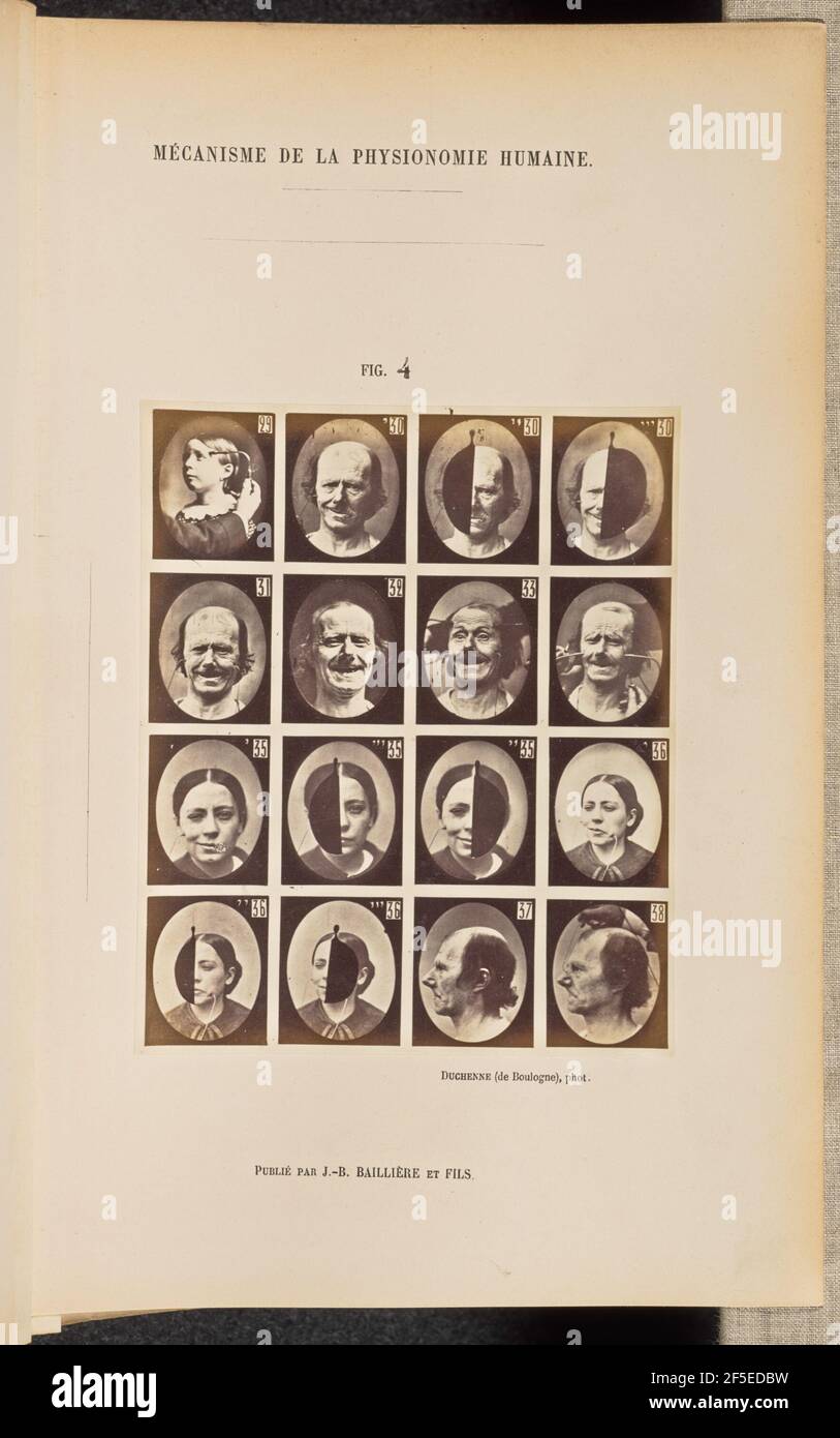 Tableau Synoptique (Fig. 4 Stock Photo - Alamy