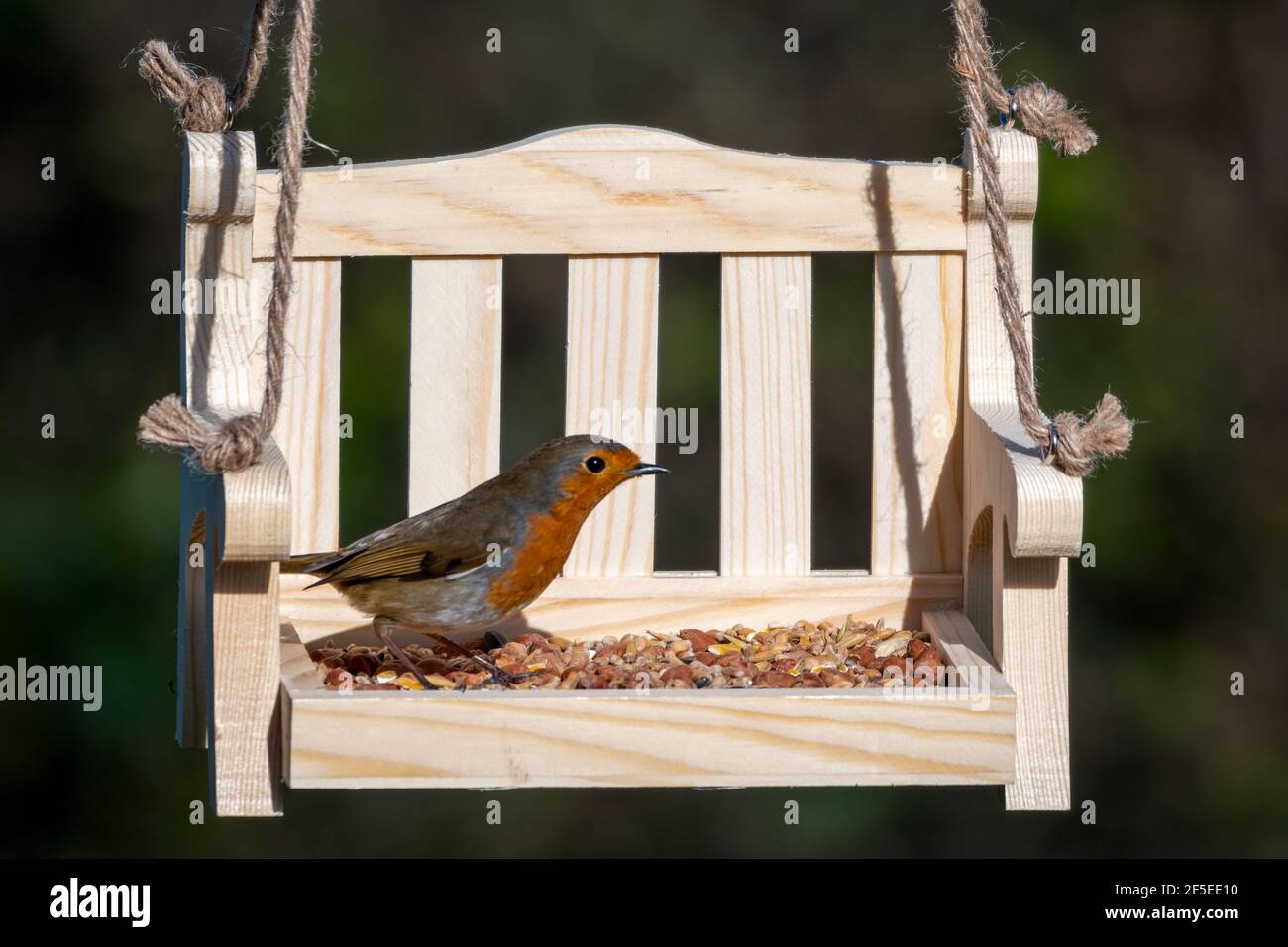 Miniature feeder hi-res stock photography and images - Alamy