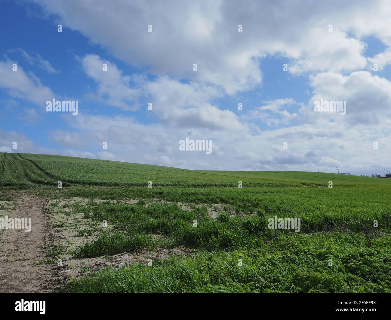 Windows xp hi-res stock photography and images - Alamy
