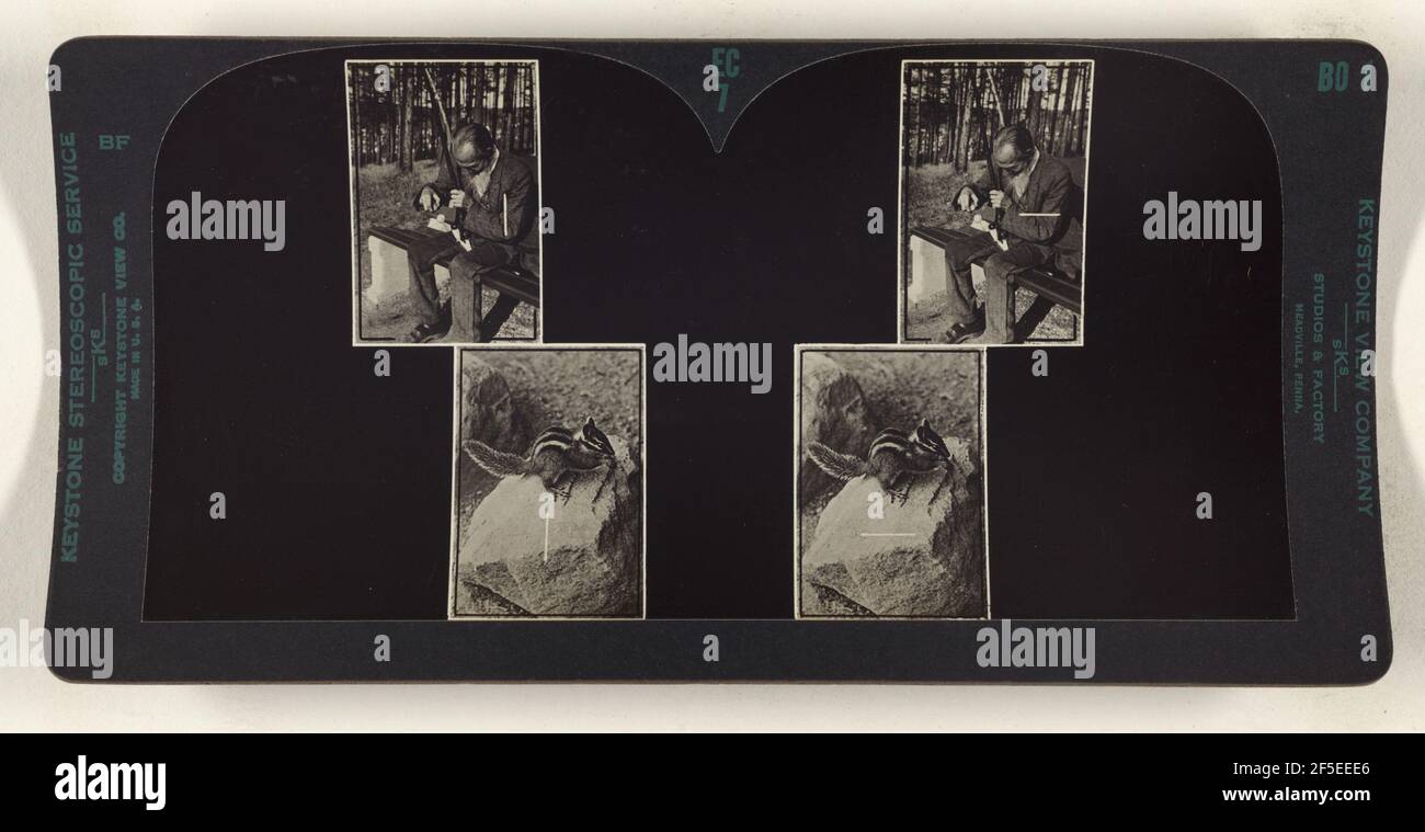 Fusing the upper pictures requires 3 1/2 prism diopters of Fusional ...