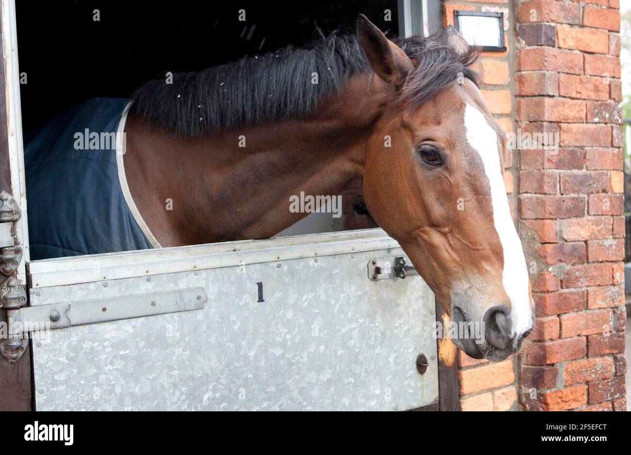 Trainer Stables Stable High Resolution Stock Photography and Images - Alamy