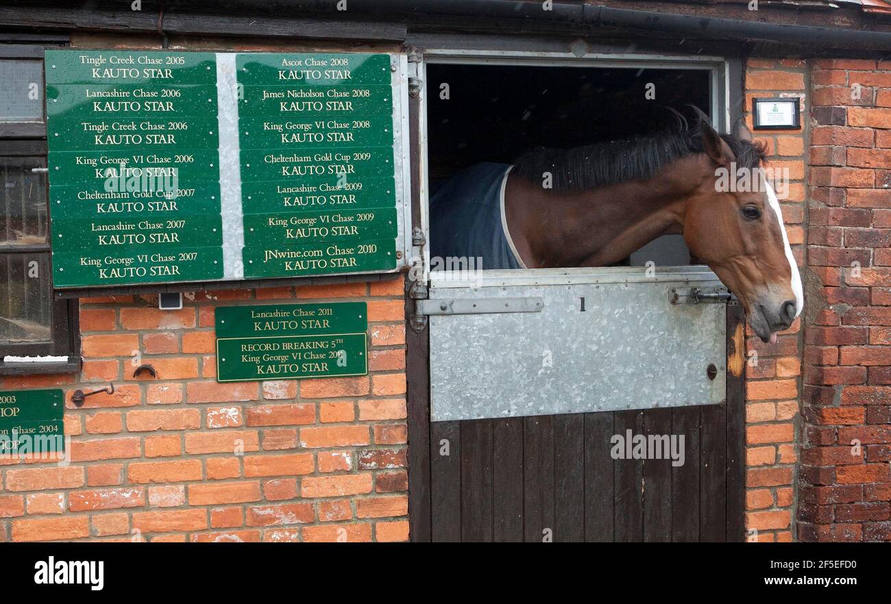 Horse trainer in stable hi-res stock photography and images - Alamy
