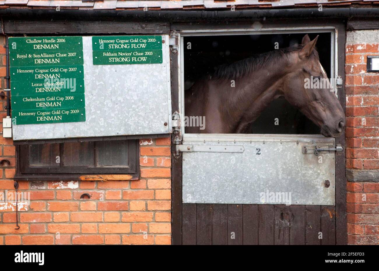 Horse trainer in stable hi-res stock photography and images - Alamy