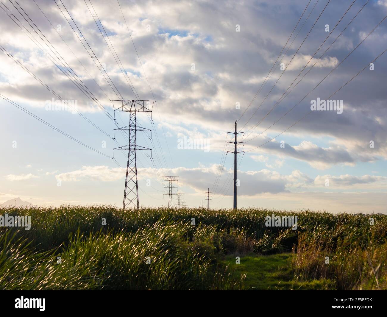 South Africa Power Lines High Resolution Stock Photography and Images ...