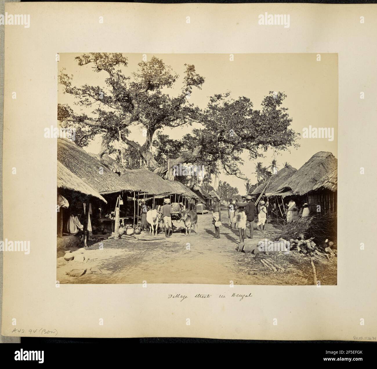 Calcutta; Rustic Scenes and Rural Life in Bengal. View down a road in a ...