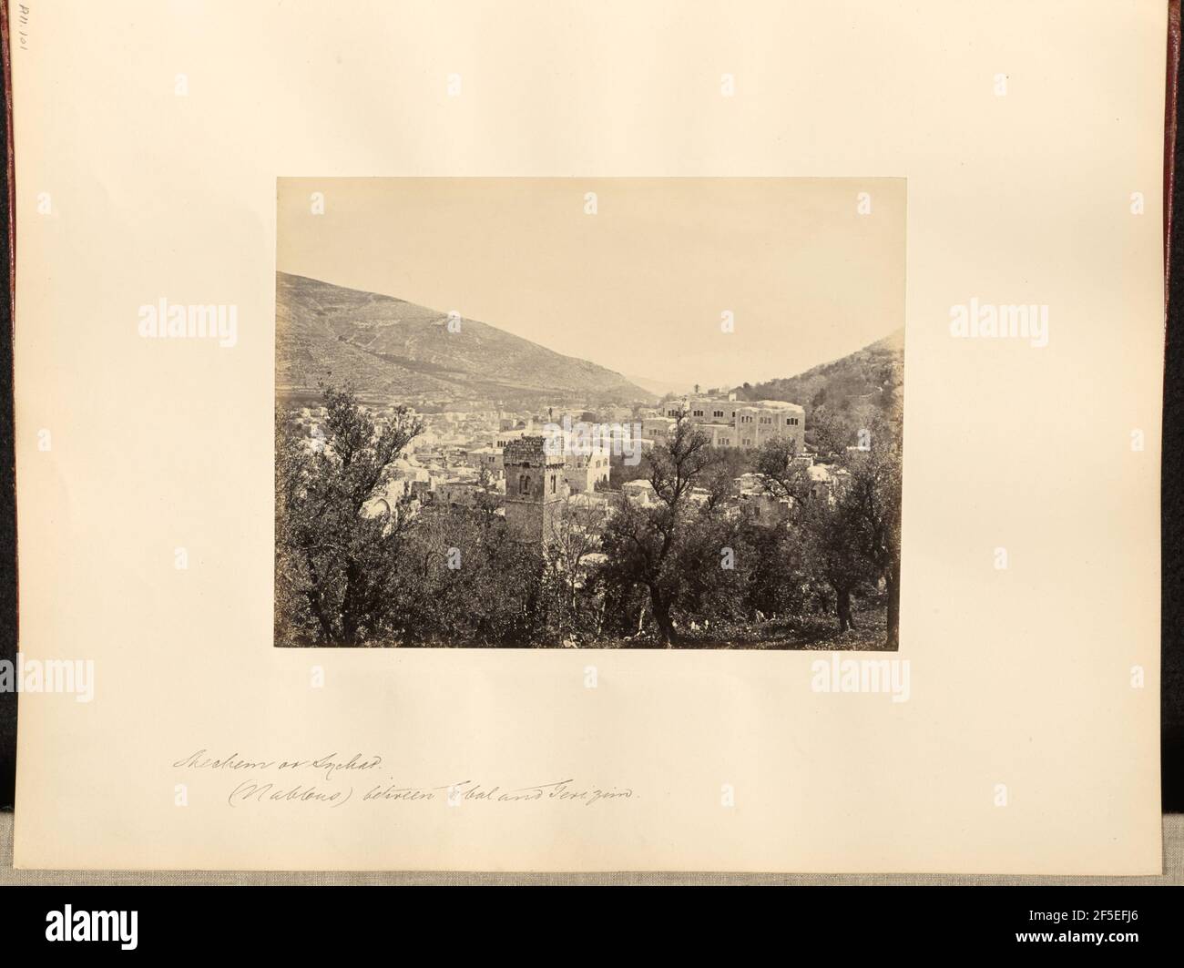 Shechem on Sychar (Nablous) between Ebal and Gerizim. Francis Frith ...