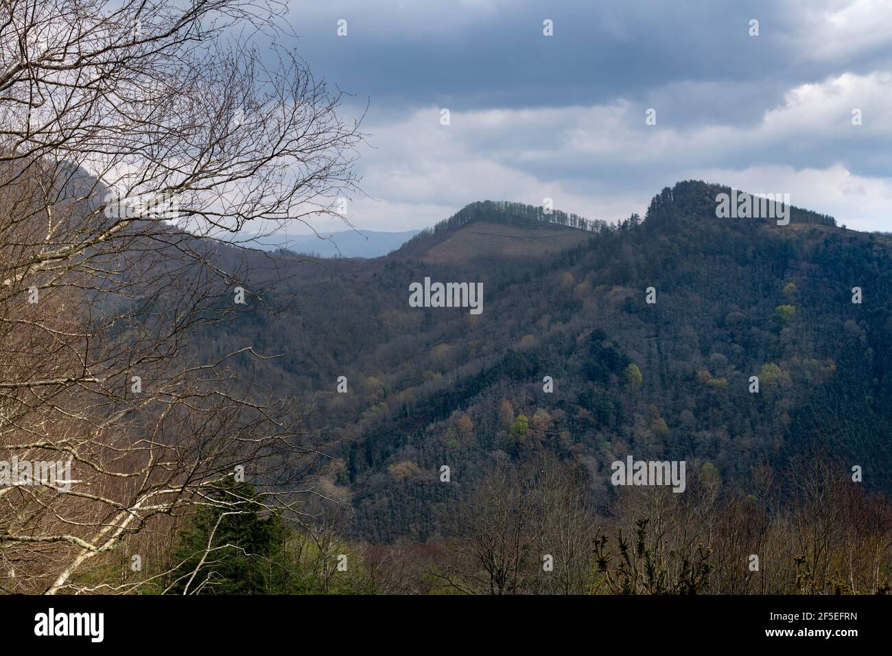 A picturesque mountain valley surrounded by beautiful slopes and ...
