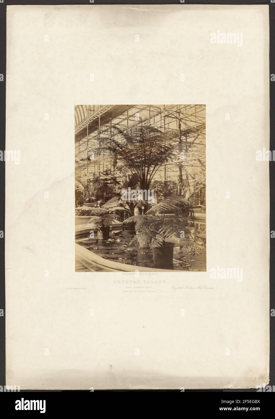 Crystal Palace. Ferns and Water Lilies. Tropical Fountain Basin ...