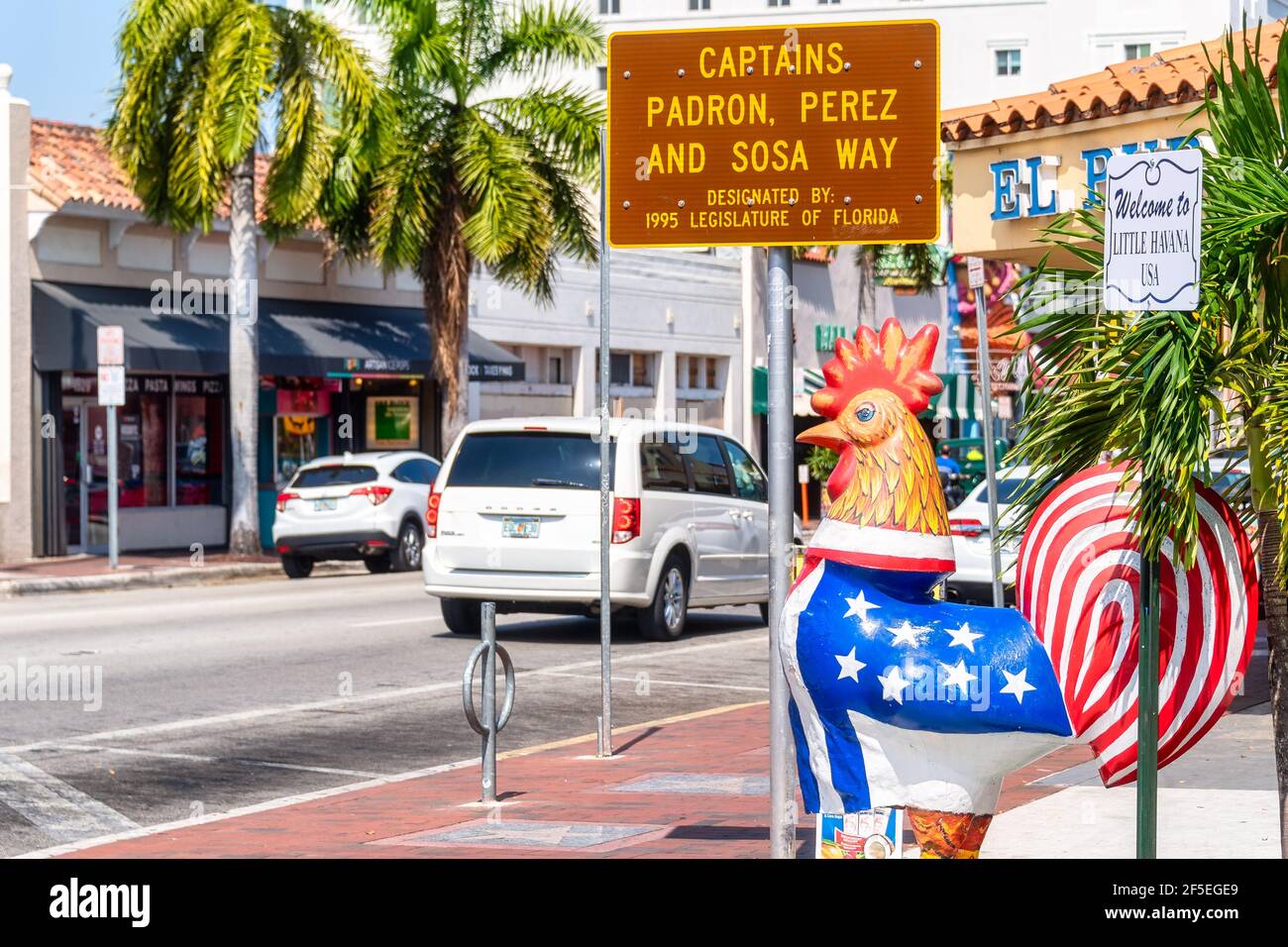 Miami rooster hi-res stock photography and images - Alamy