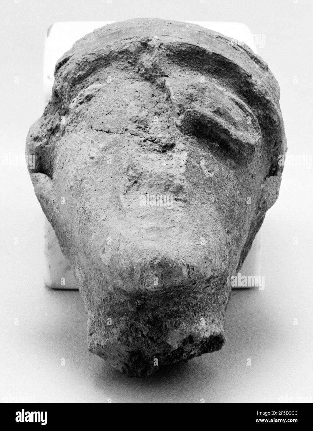 Human Head. Unknown Stock Photo - Alamy