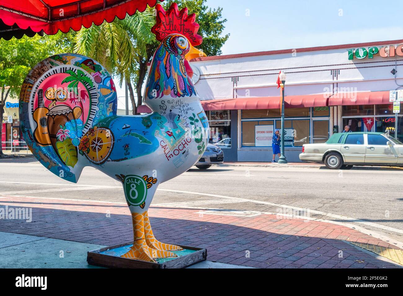 Rooster sculpture statue in Calle Ocho, Little Havana, Miami, USA Stock ...