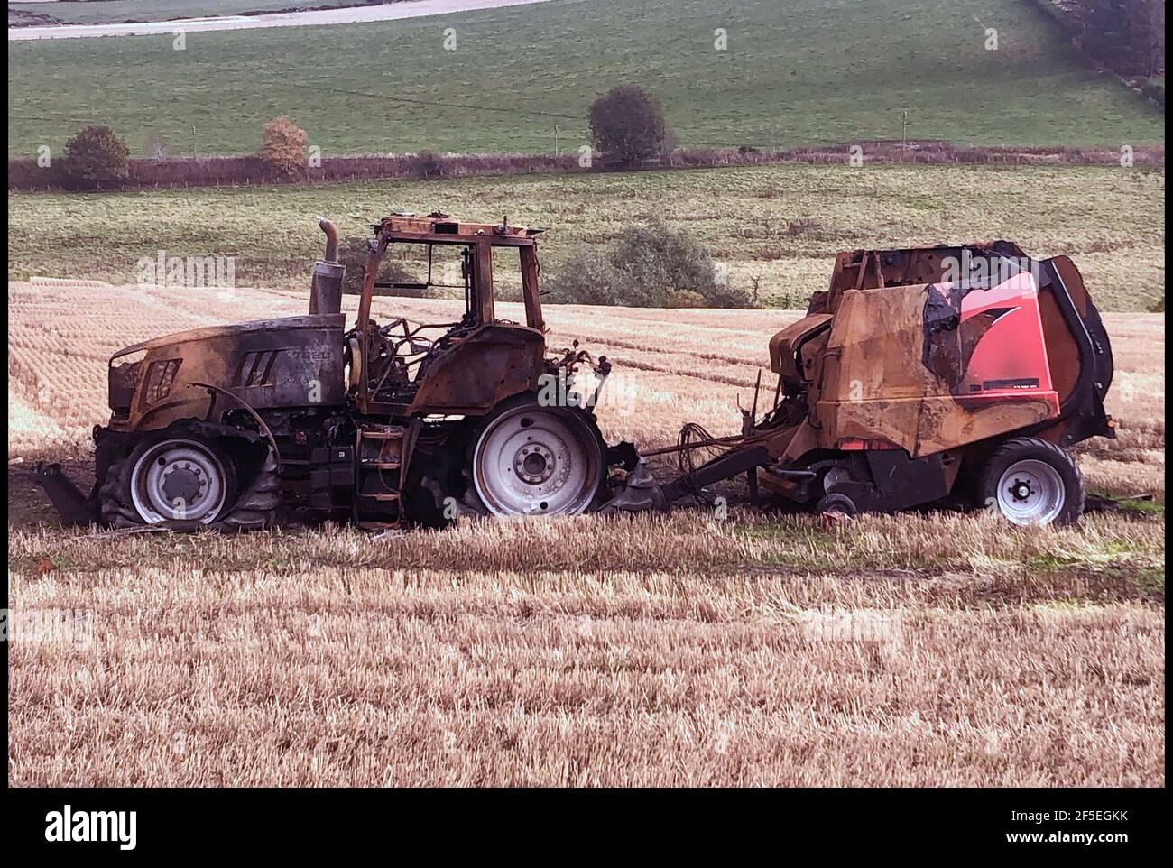 Burnt Out Trees High Resolution Stock Photography and Images - Alamy
